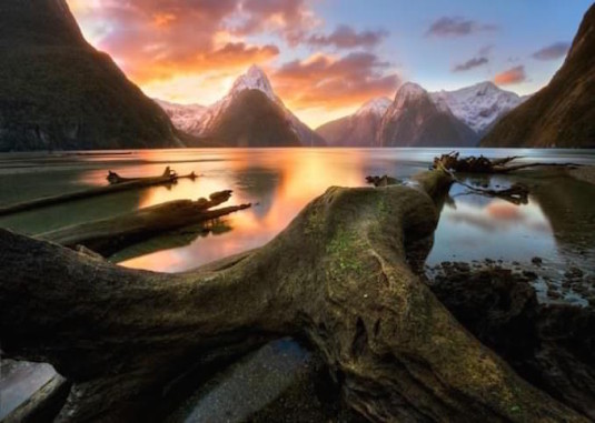 500px Social Network for Photographers