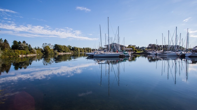 Toronto Fishing Locations Provide a Variety of Species Year-Round