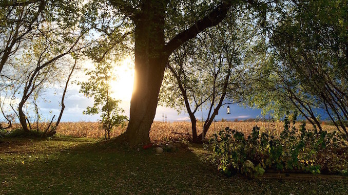 Local Artist Tamara Crist Shares her Life in Photos