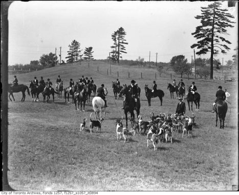 Vintage Hunting Photographs from the Early to Mid 1900s