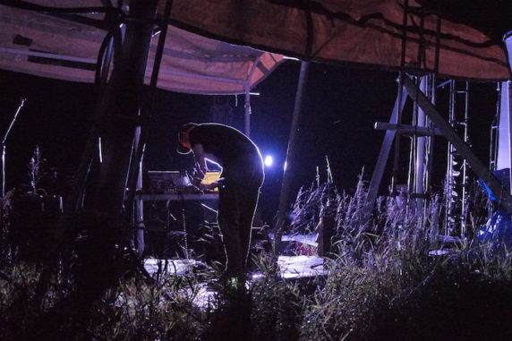 Electric Eclectics Music Festival 2018 - Review & Gallery