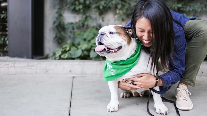 Find help for your dog's care with Rover