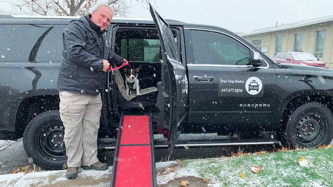 Getting around the city with Your Dog Butler Toronto