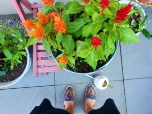 "A Day in the Life" with Toronto Author, Audio Producer Michelle Parise