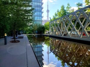 "A Day in the Life" with Toronto Author, Audio Producer Michelle Parise