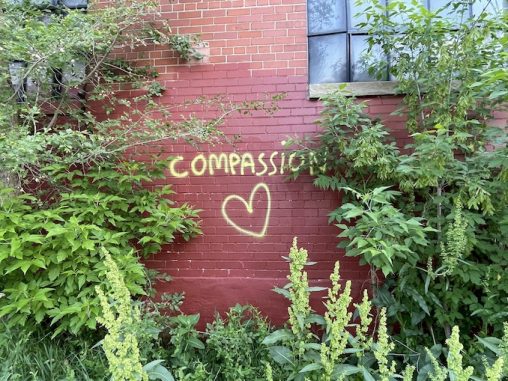 “A Day in the Life” with interdisciplinary artist, Laura Nanni