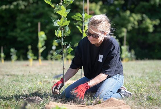 Charitable Choices: Mike Hurley of Trees For Life