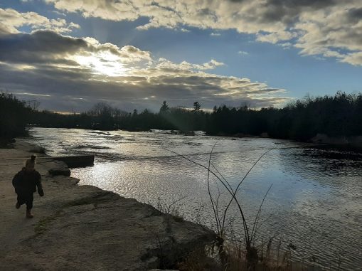 “A Day in The Life” with Toronto Author & Artist Kelly Rose Pflug-Back