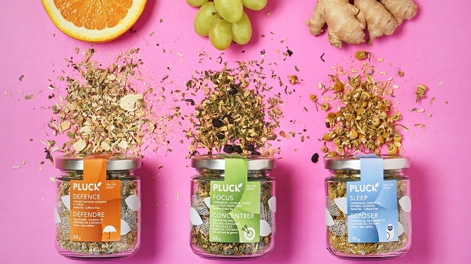 Homegrown Business: Jennifer Commins of Pluck Tea