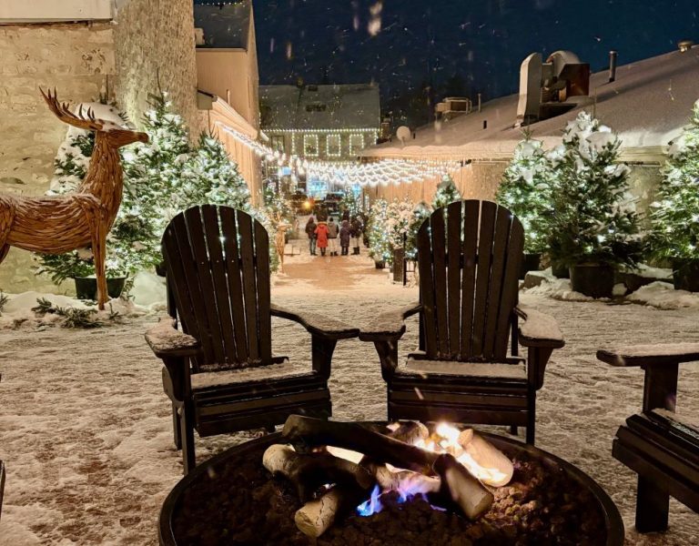 The Prettiest Christmas Wonderland Found in Elora