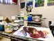 "A Day in the Life" with: Toronto Painter Shi Le