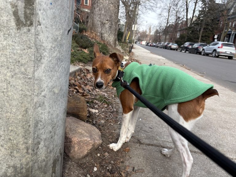 "A Day in the Life" with: Performing Artist Jakob Ehman