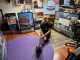"A Day in the Life" with: Toronto Visual Artist Sean Yelland