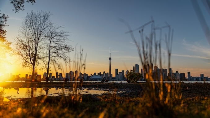 Why Toronto Is Becoming a Hub for International Students and Education